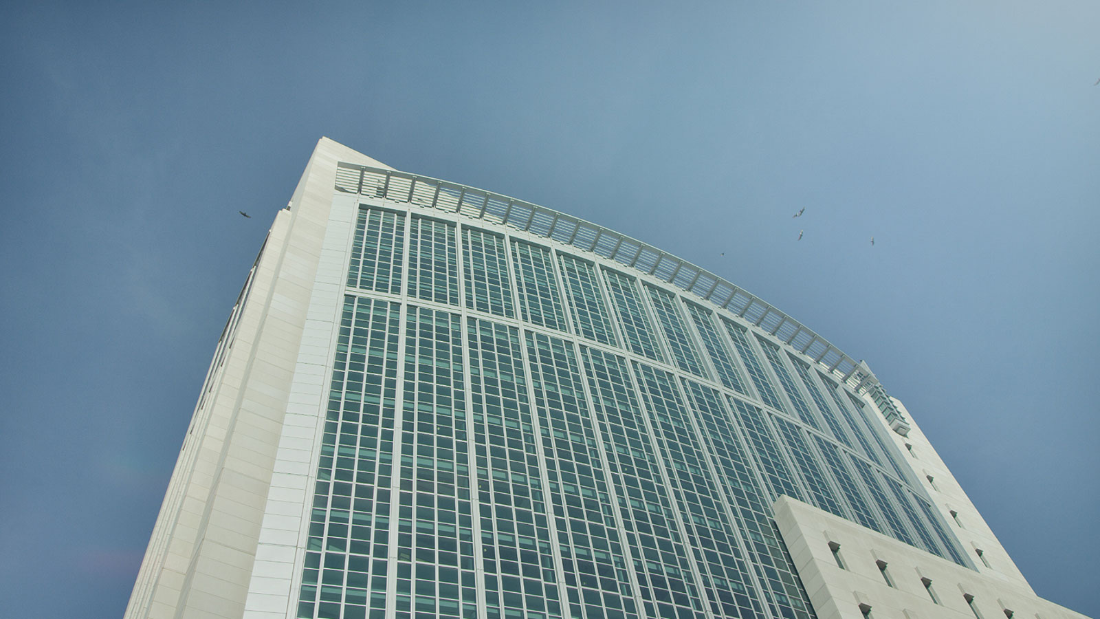 Porter Scott Attorneys